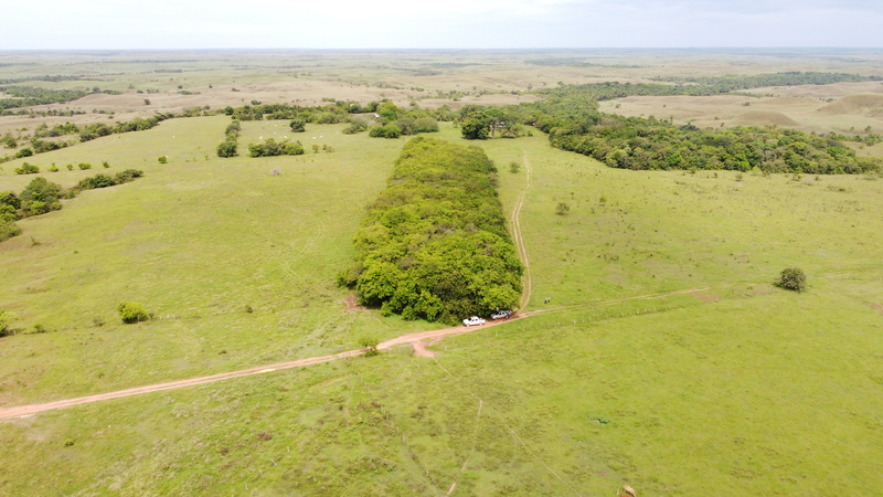 Biofix presents its first ARR project in Colombia at Orinoquia Green ...